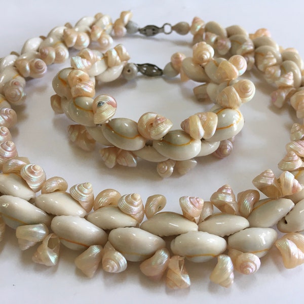 Trochus Shell - Etsy