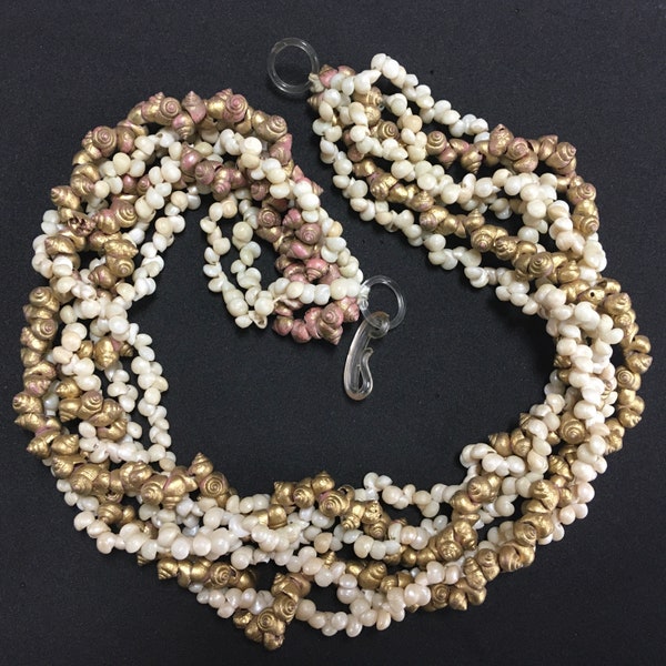 Trochus Shell - Etsy