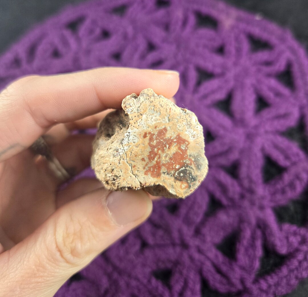 Petrified Wood Log Red Brown Polished Ends Crystal Gemstones Natural ...