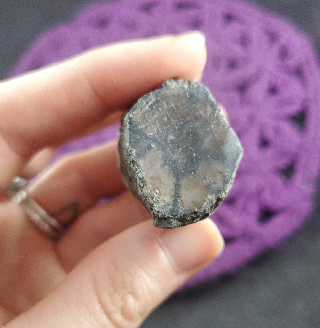 Chiastolite Andalusite Cross Stone Slice Crystal Stones Rough Natural ...