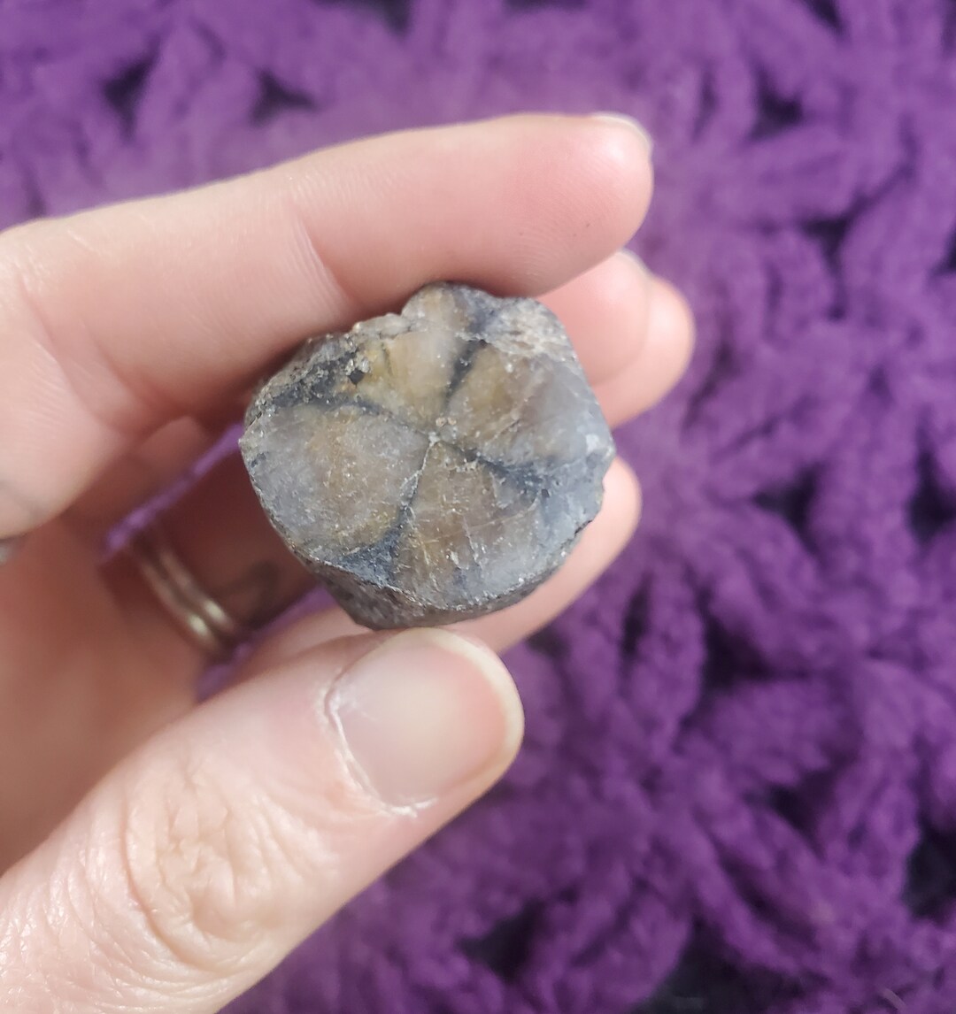 Chiastolite Andalusite Cross Stone Slice Crystal Stones Rough Natural ...