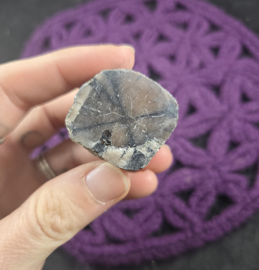 Chiastolite Andalusite Cross Stone Slice Crystal Stones Rough Natural ...