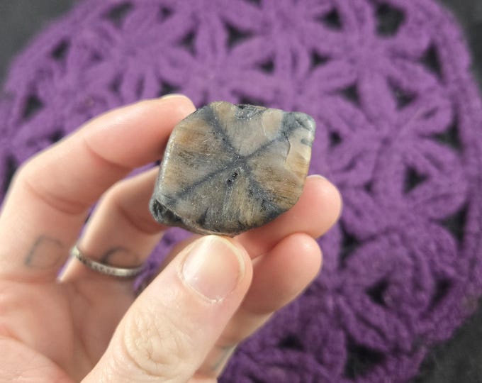 Chiastolite Andalusite Cross Stone Slice Crystal Stones Tumbled Lightly ...