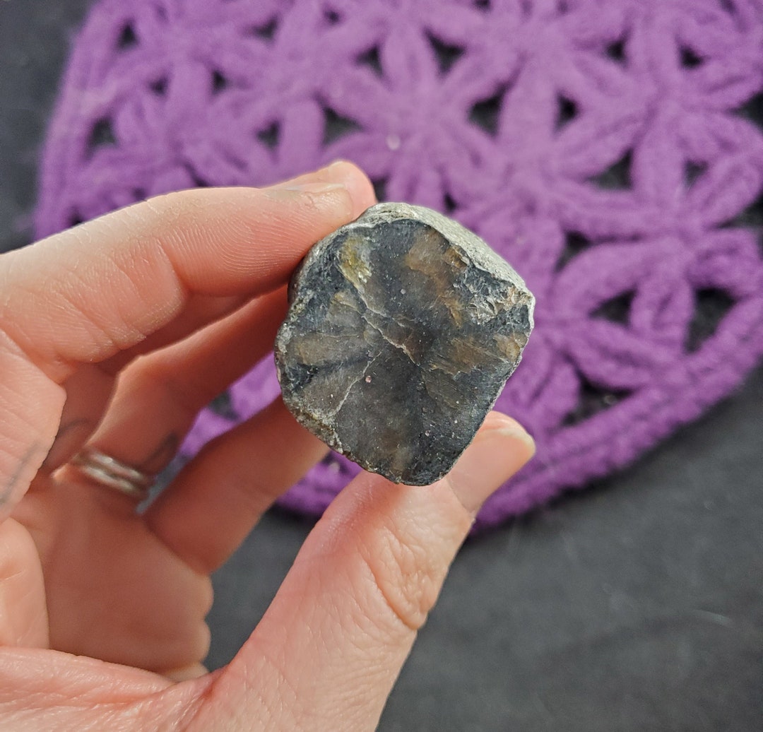 Chiastolite Andalusite Cross Stone Slice Crystal Stones Rough Natural ...