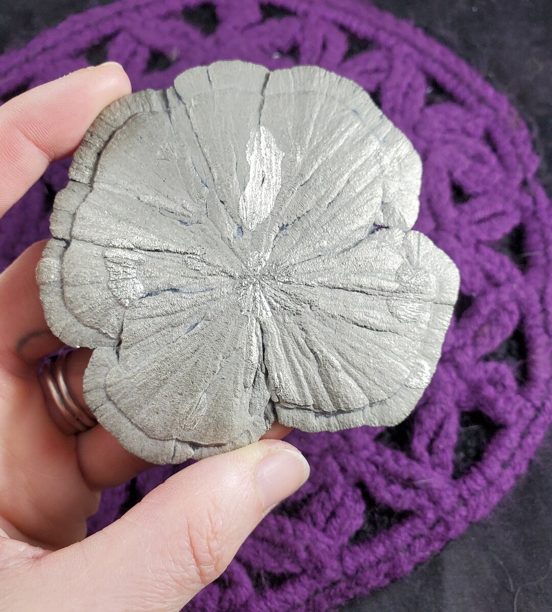 Pyrite Sun Crystal Rare Stones Natural Illinois Large Disk Fools Gold ...