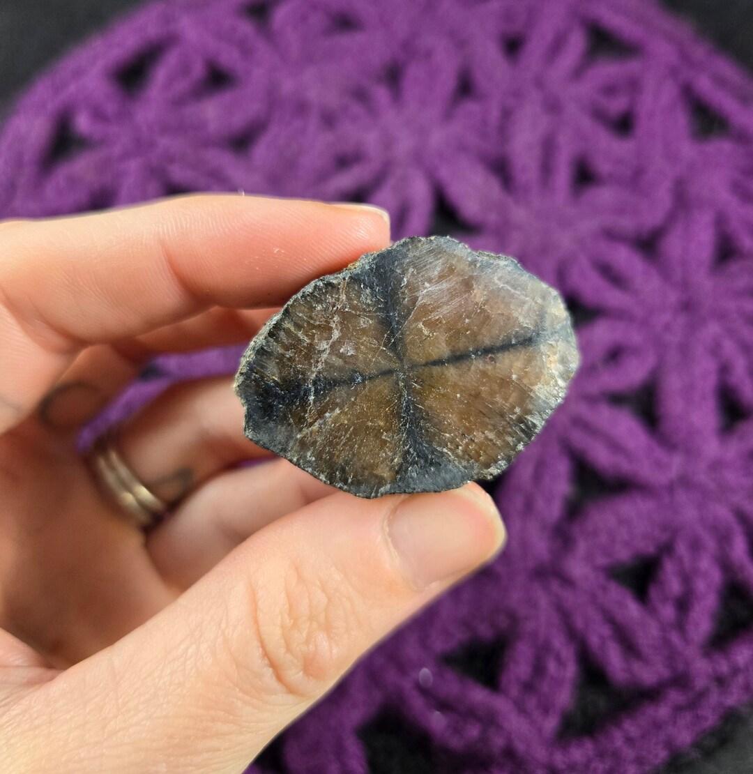 Chiastolite Andalusite Cross Stone Slice Crystal Stones Rough Natural ...