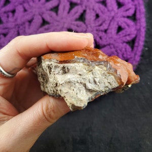Red Fox Crater Agate Rough Stone Raw Botryoidal Red Agate Crystal ...