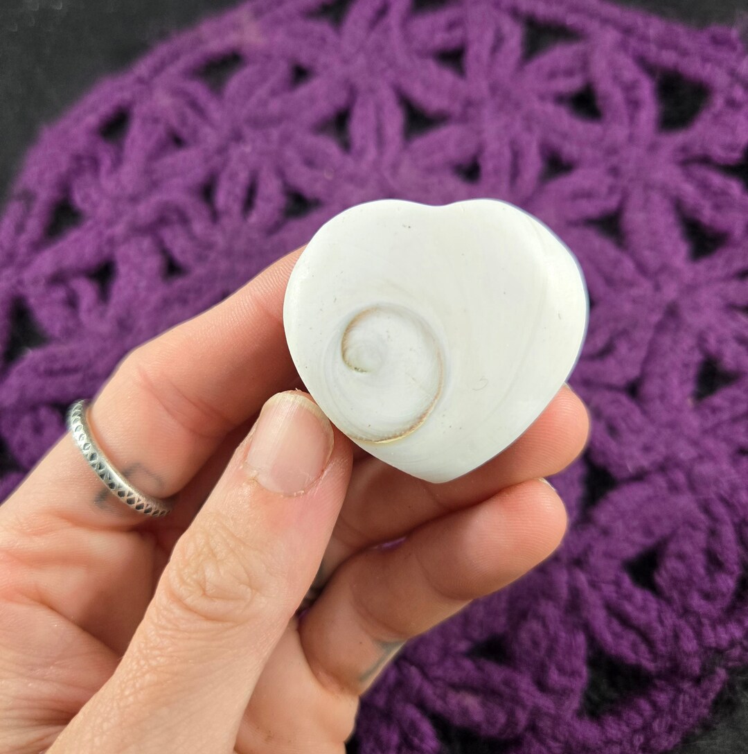 Shiva Eye Heart Crystal Polished Shell Stones Crystals Natural White ...