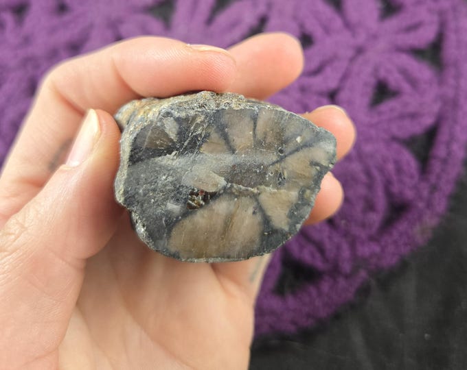 Chiastolite Andalusite Cross Stone Slice Crystal Stones Rough Natural ...