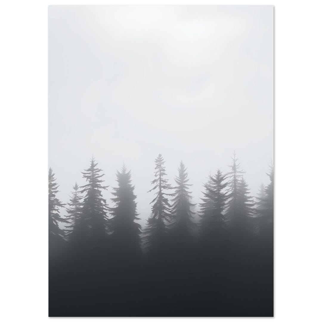 A Moody, Black-and-white Pine Tree Forest Disappearing Into the Fog ...