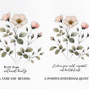 Watercolor Wildflower Clipart Bundle: Hand-drawn Floral PNG, Digital ...
