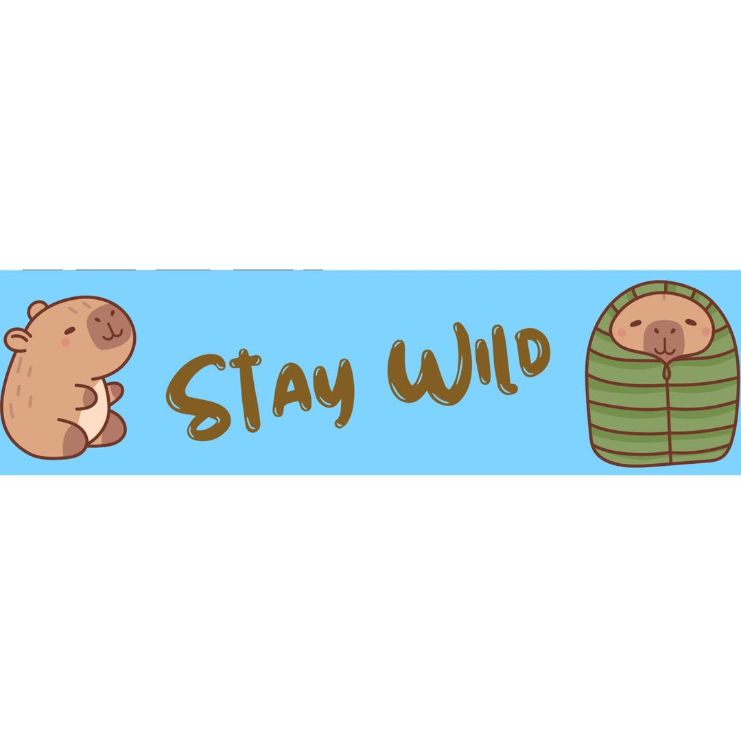 Stay Wild Capybara Cute Sticker Funny Bumper Sticker or Car Magnet Cute ...