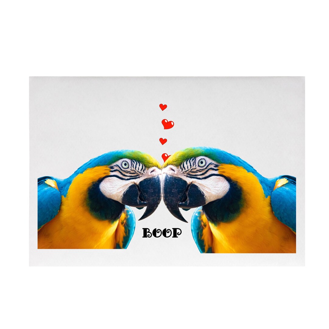 Bird Boop #2 Card Funny & Adorable Animal Pun – Perfect for Birthdays ...