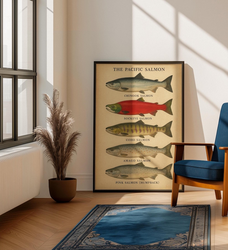 Pacific Salmon Field Guide Wall Art – Vintage Fish Species Chart for ...
