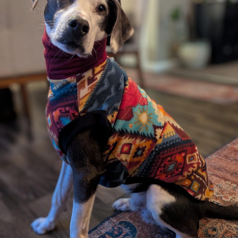 Large Orange Dog Sweater - Etsy