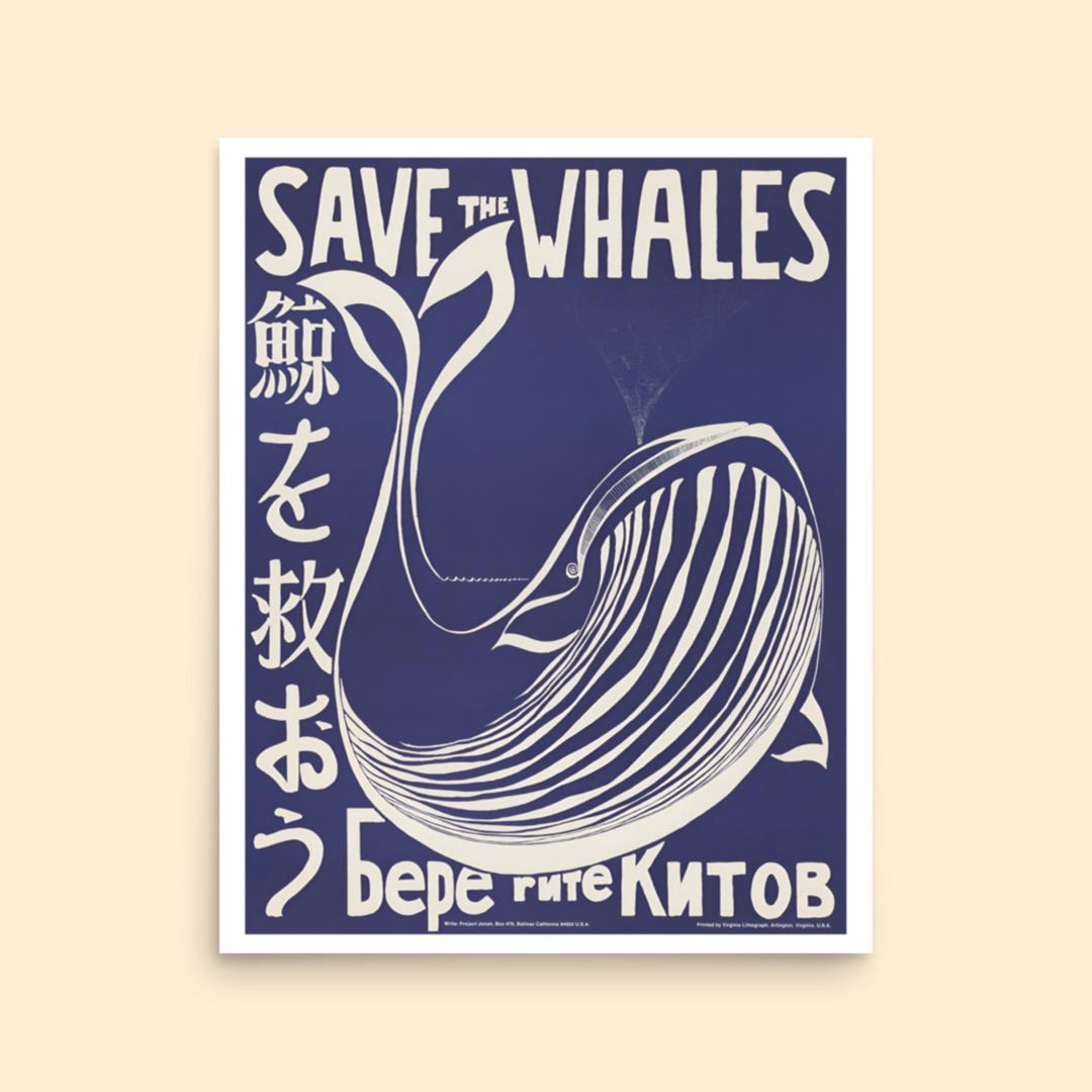 Vintage Whale Poster - Etsy