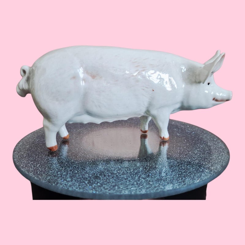 Porcelain Pig - Etsy UK