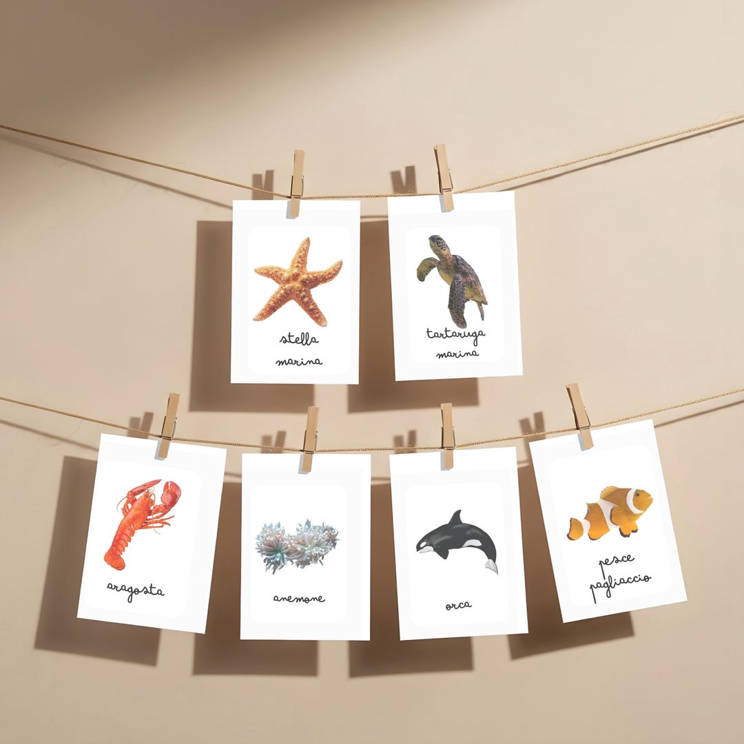 20 Montessori Sea Animal Flashcards, Printable Marine Animal Cards, PDF ...