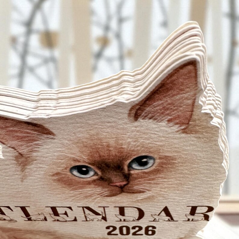 Cat Shaped 2026 Desk Calendar: Watercolor Paper, Wooden Stand - Etsy