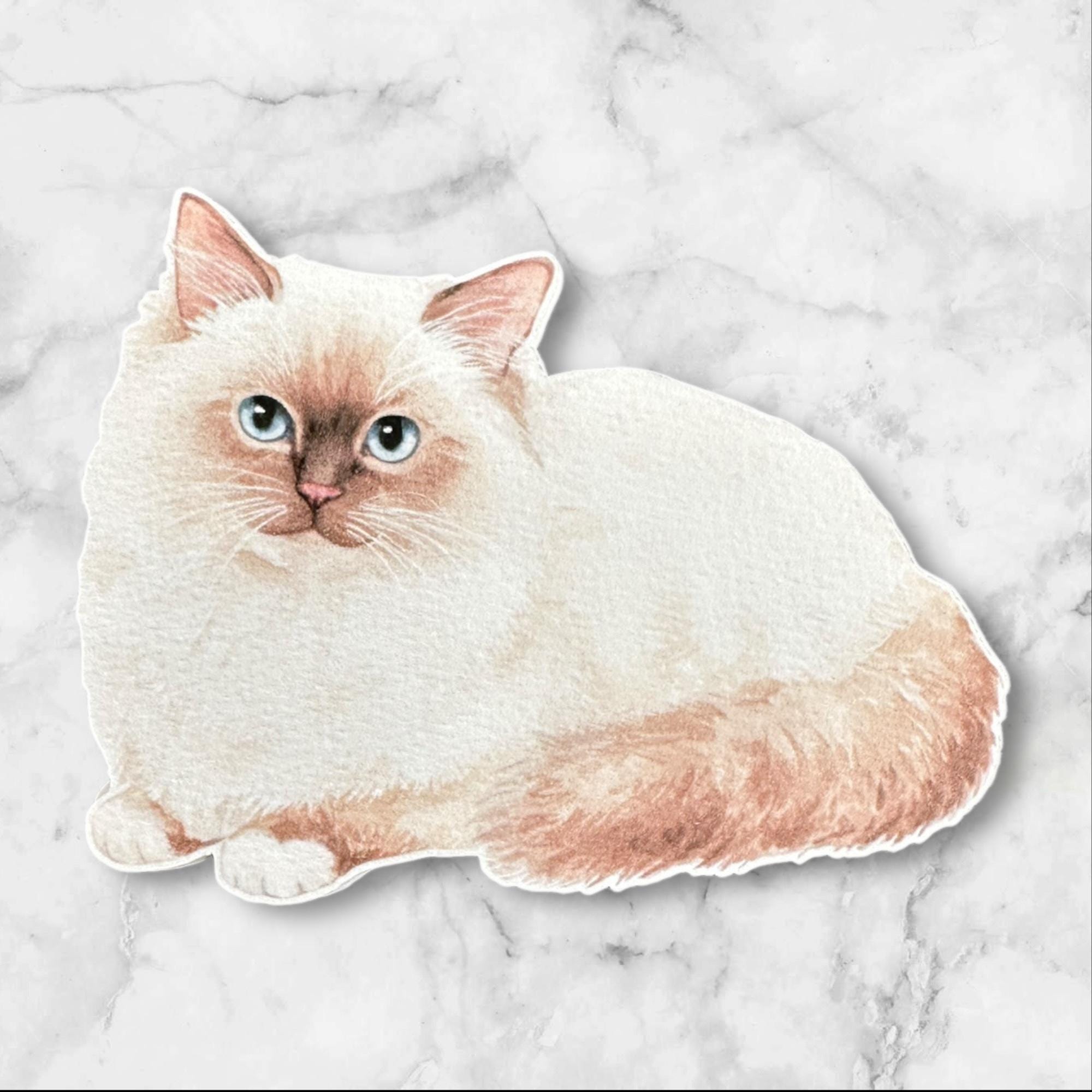 Cat Shaped 2026 Desk Calendar: Watercolor Paper, Wooden Stand - Etsy