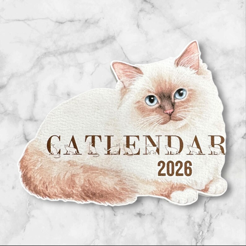Cat Shaped 2026 Desk Calendar: Watercolor Paper, Wooden Stand - Etsy