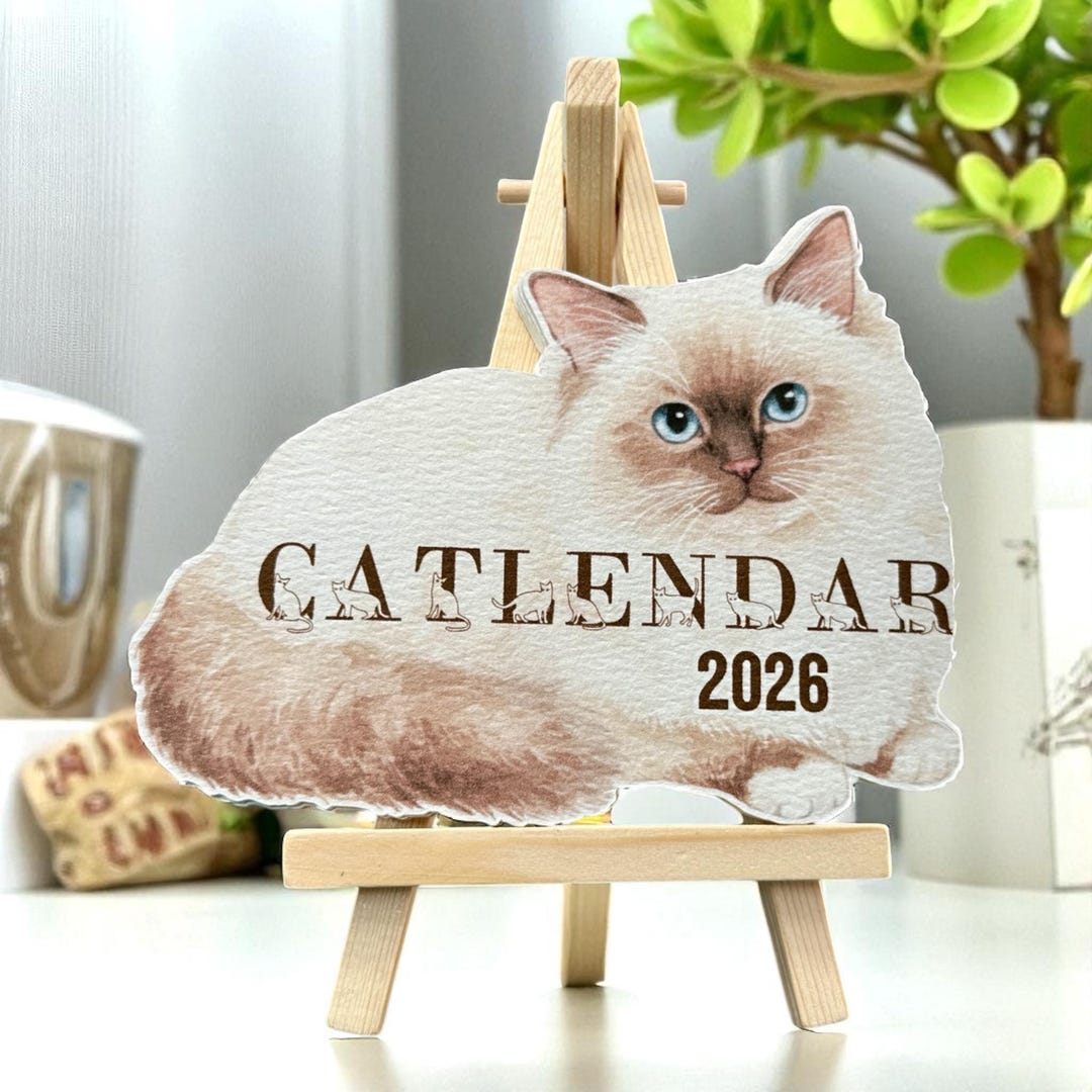 Cat Shaped 2026 Desk Calendar: Watercolor Paper, Wooden Stand - Etsy
