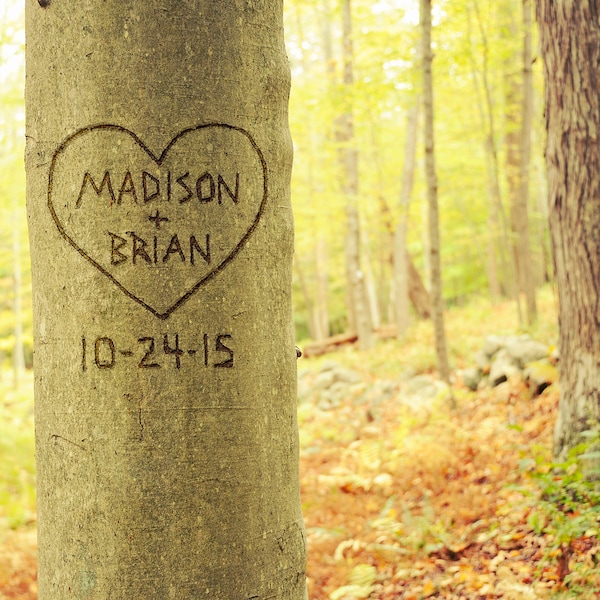 Names Carved on Tree - Etsy