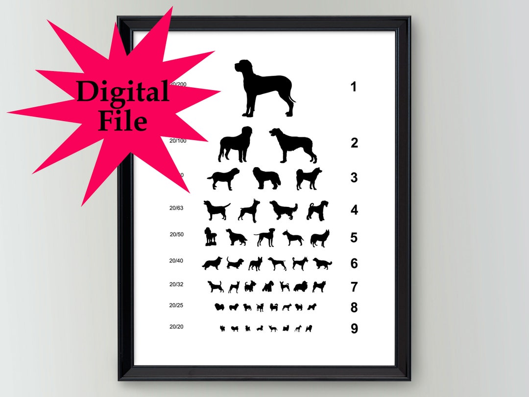 Dog Eye Chart, Veterinarian Office Decor, Gift for Veterinarian, Animal ...