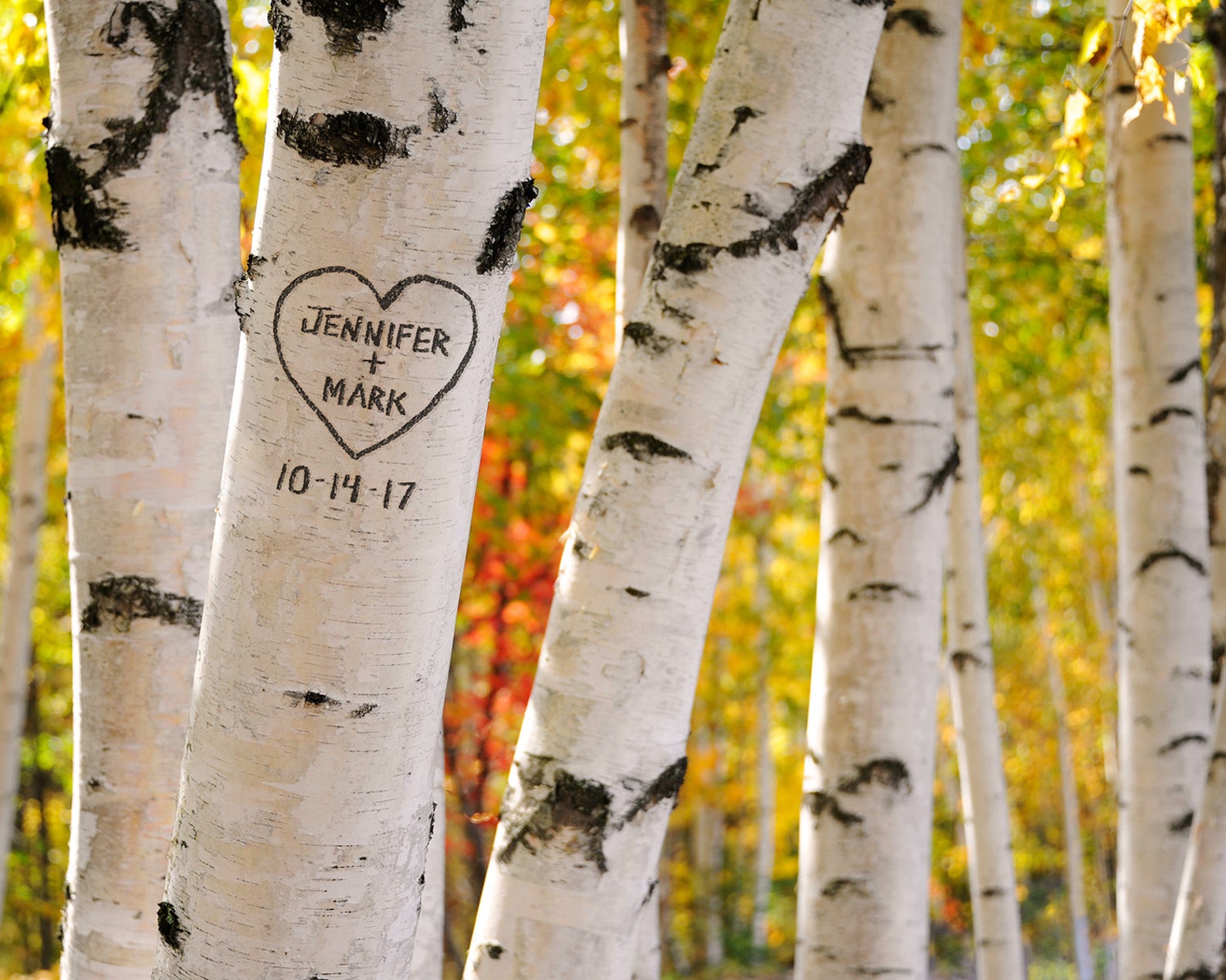 Personalized Birch Tree Print, Custom Art Print, Wedding Keepsake Gift ...
