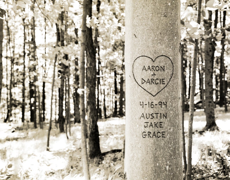 Personalized Tree Carving Print - Romantic Couples Gift - Gift for Him ...