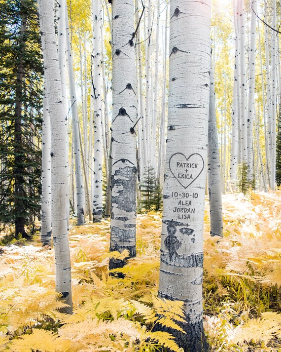 Custom Tree Carving Print Aspen Forest Birch Trees Gift for | Etsy