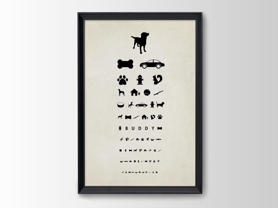 Custom Dog Eye Chart Pet Corner Décor Pet Bedroom Print - Etsy
