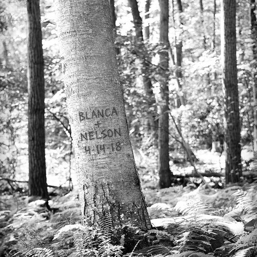 Personalized Art Print Couples Names Carved in Tree Custom - Etsy