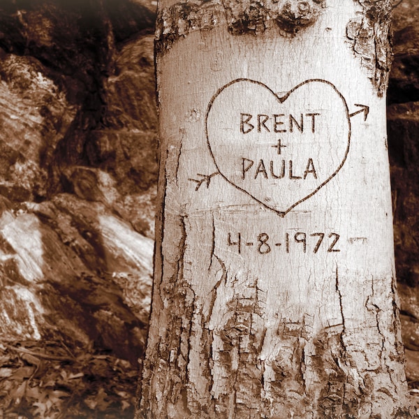 Names Carved on Tree - Etsy
