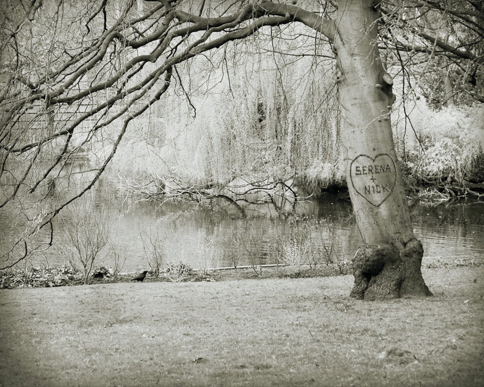 Carved Heart Tree Personalized Photo Couples Gift Custom - Etsy