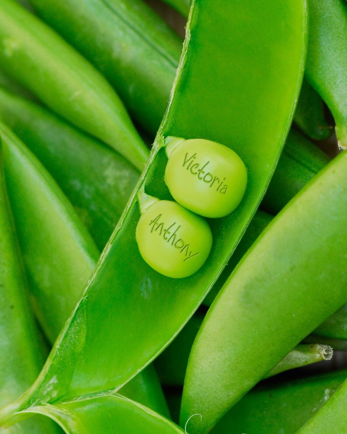 Pea Pod Personalized Art Best Friends Gift Unique Gift for - Etsy