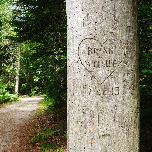 Personalized Wall Art Carved Tree Rustic Wall Decor Gift | Etsy