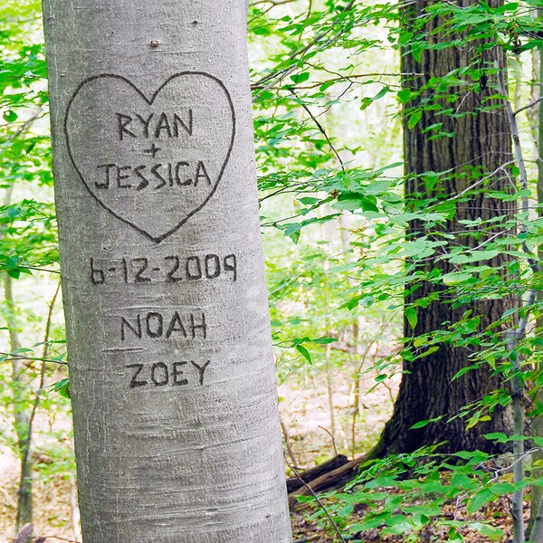 Family Tree Painting - Etsy