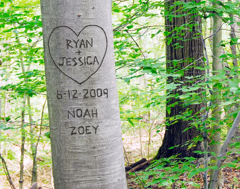Personalized Tree Family Art Print Tree Carving Personalized - Etsy