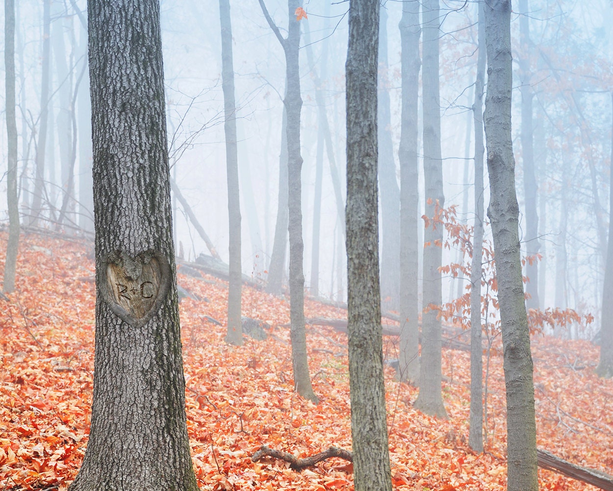 Personalized Photo Wall Art Initials in Tree Couples Gift | Etsy