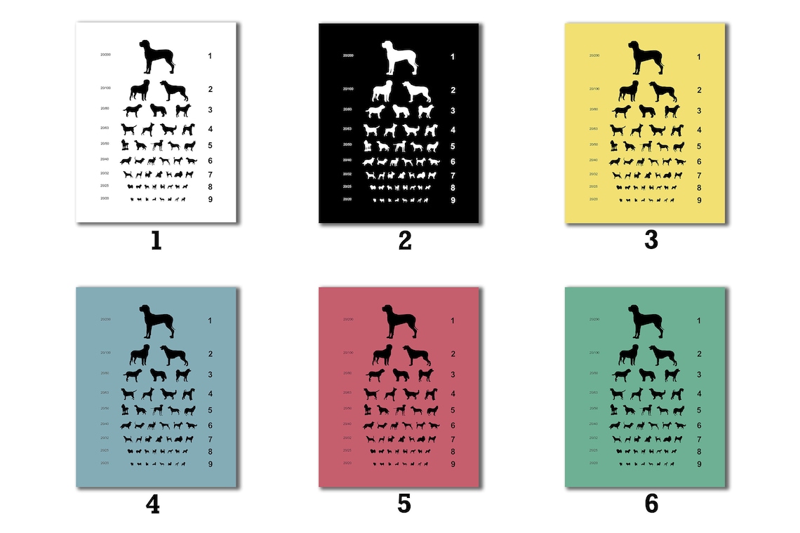 Dog Eye Chart, Veterinarian Office Decor, Gift for Veterinarian, Animal ...