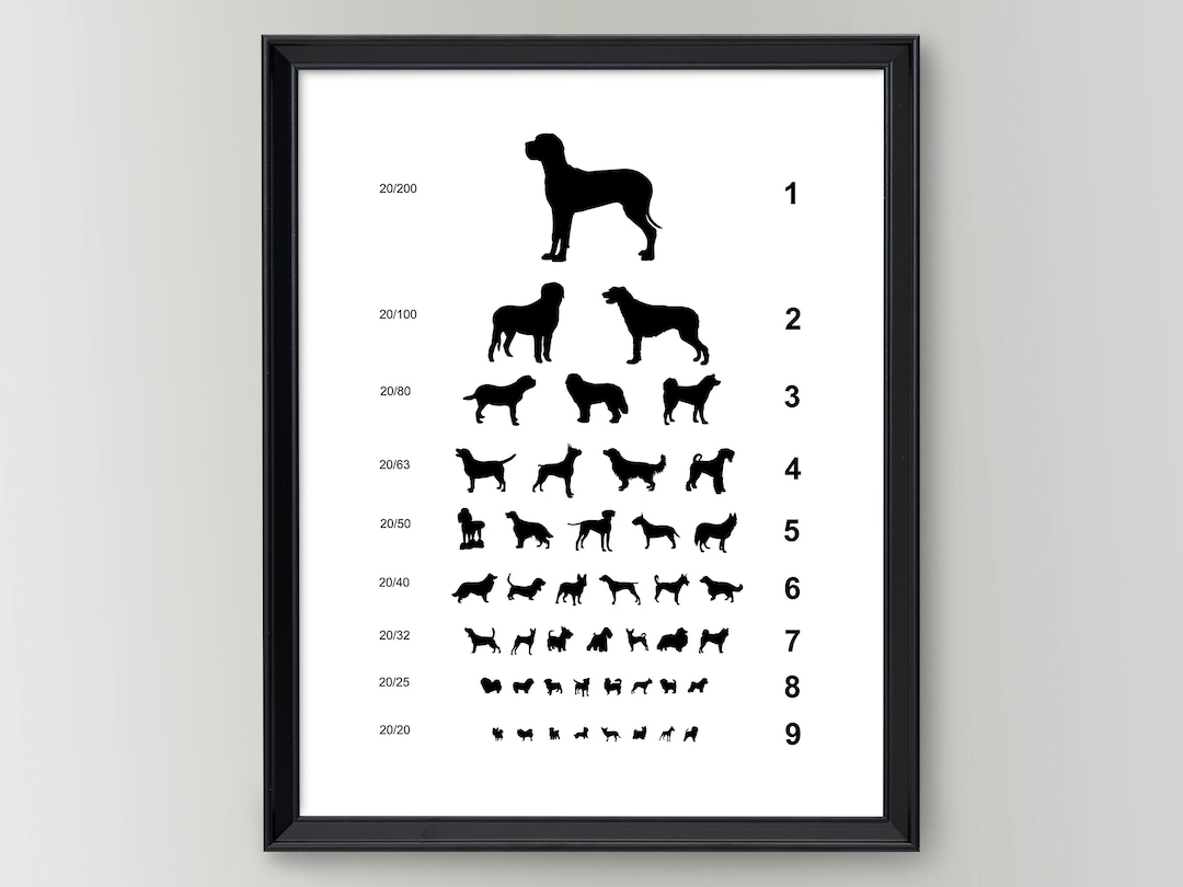 Dog Eye Chart Print, Vet Décor, Gift for Veterinarian, Vet Tech Gift ...