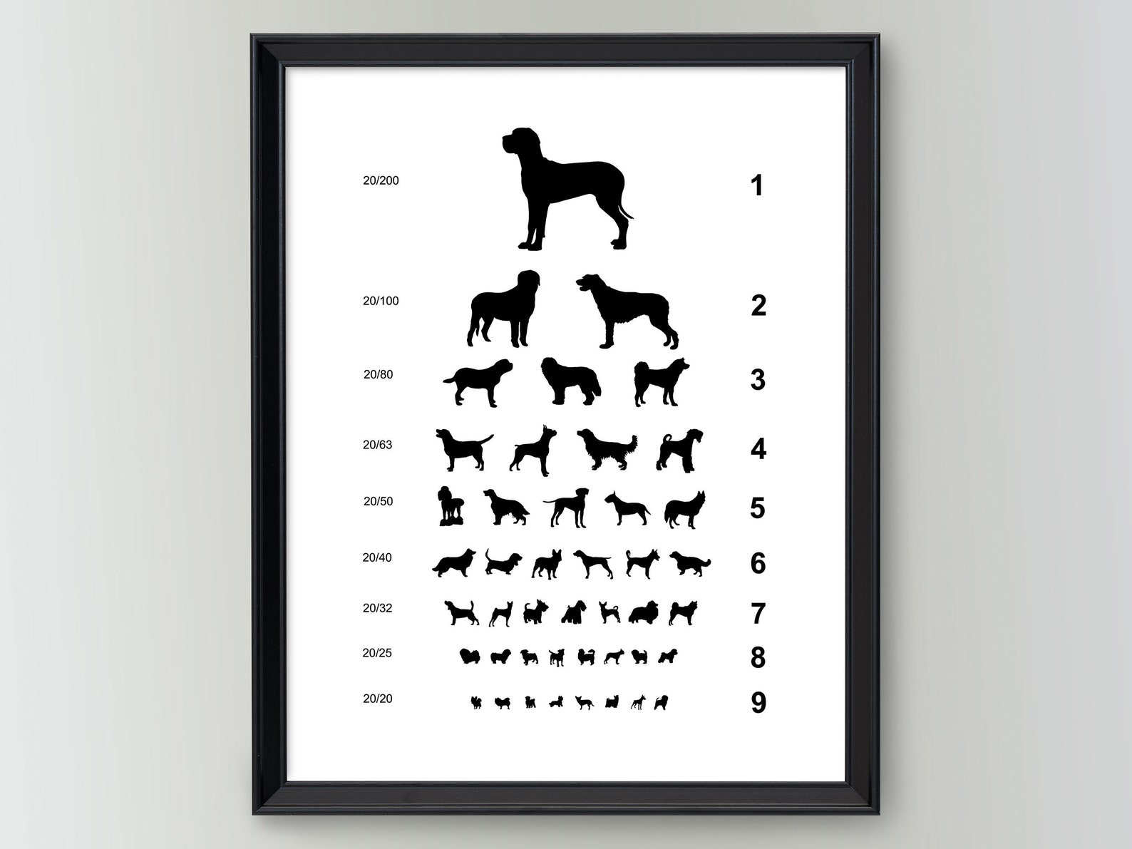 Dog Eye Chart Print, Vet Décor, Gift for Veterinarian, Vet Tech Gift ...