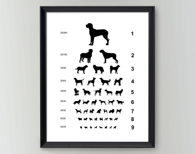 Dog Eye Chart Print, Vet Décor, Gift for Veterinarian, Vet Tech Gift ...