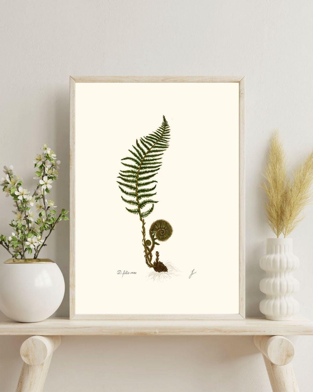 Vintage Fern Botanical Print: Gallery Wall Art (digital Download) - Etsy