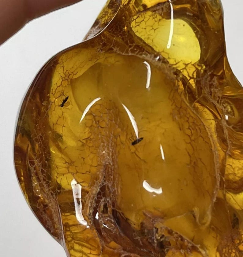 Amber Stone With Insect.inclusions in Amber.fossil Inclusion in Baltic ...