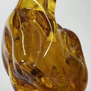 Amber Stone With Insect.inclusions in Amber.fossil Inclusion in Baltic ...