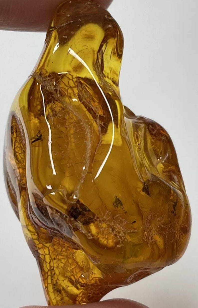 Amber Stone With Insect.inclusions in Amber.fossil Inclusion in Baltic ...