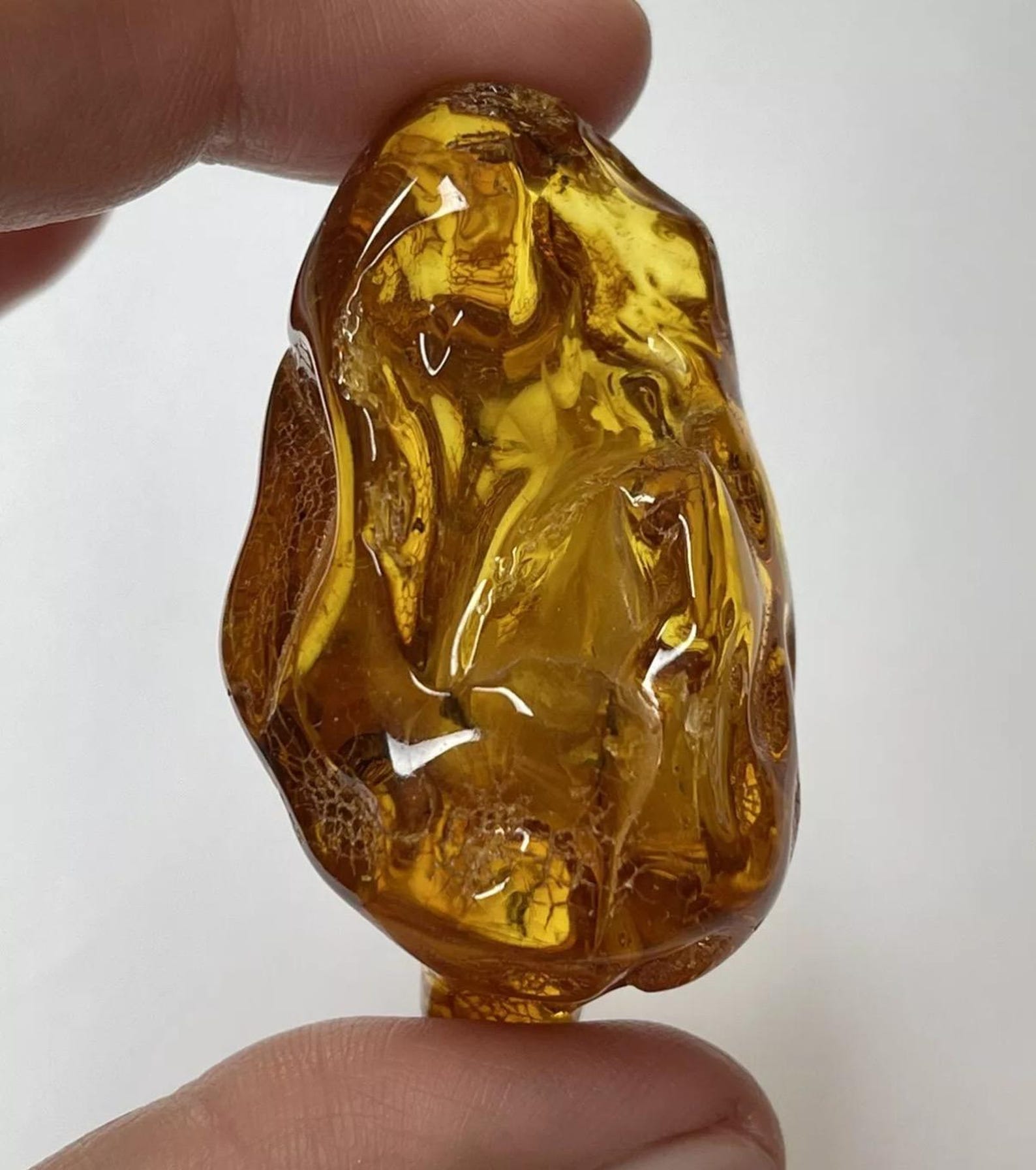 Amber Stone With Insect.inclusions in Amber.fossil Inclusion in Baltic ...