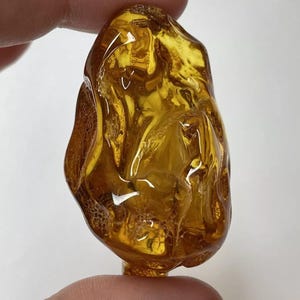 Amber Stone With Insect.inclusions in Amber.fossil Inclusion in Baltic ...